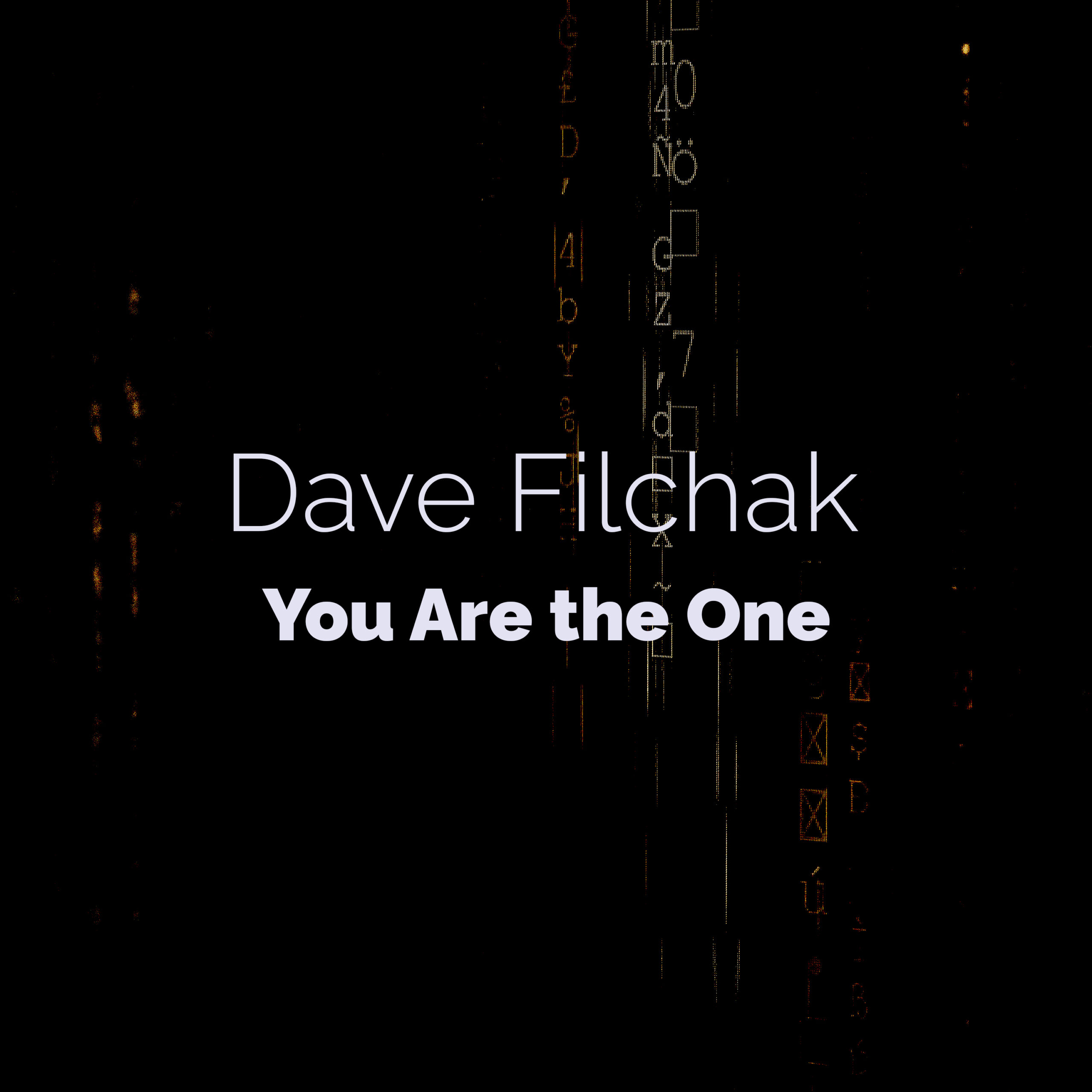 Electronic Press Kit (EPK) - davefilchak.com